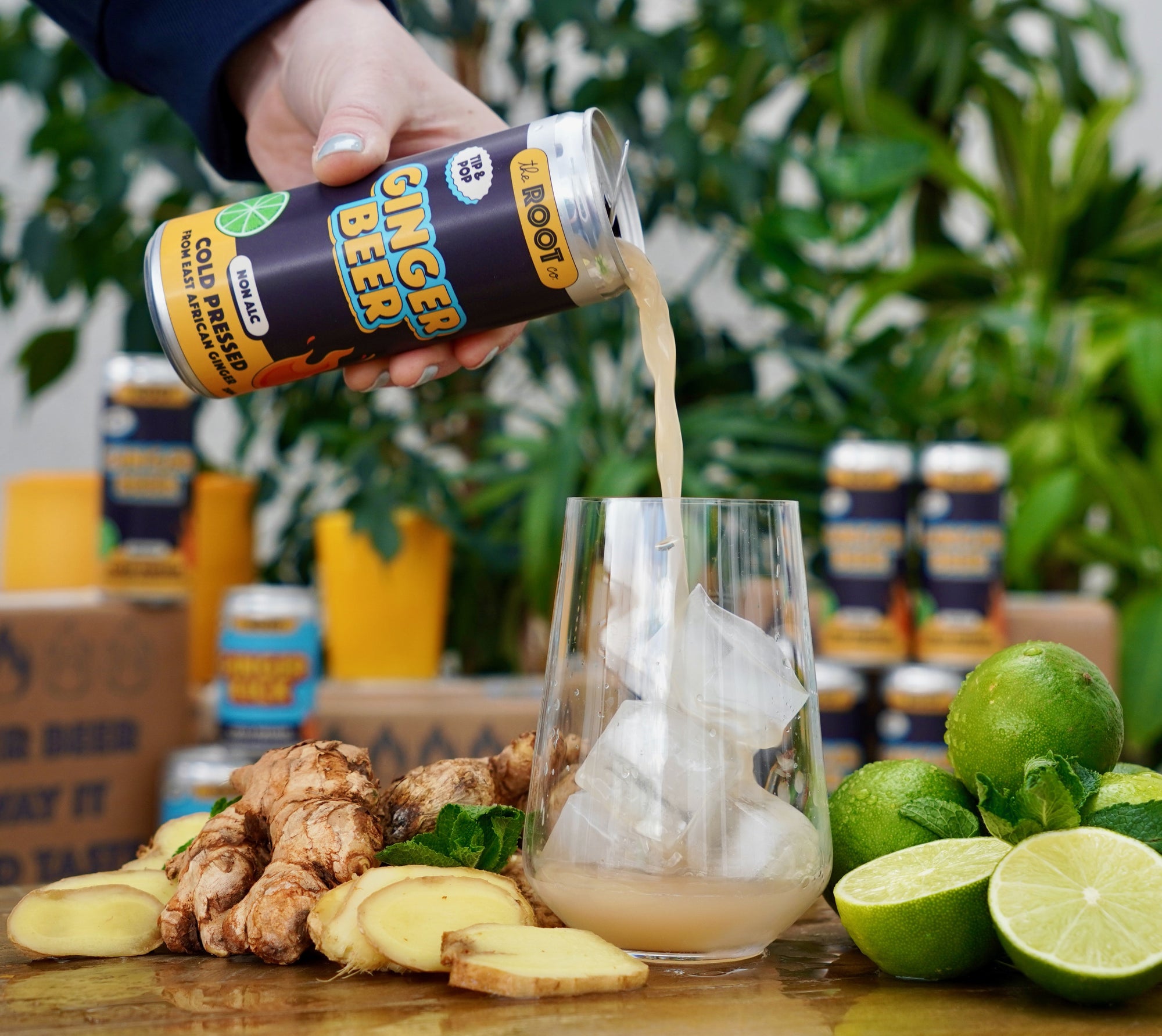 Ginger Beer – The Root Co